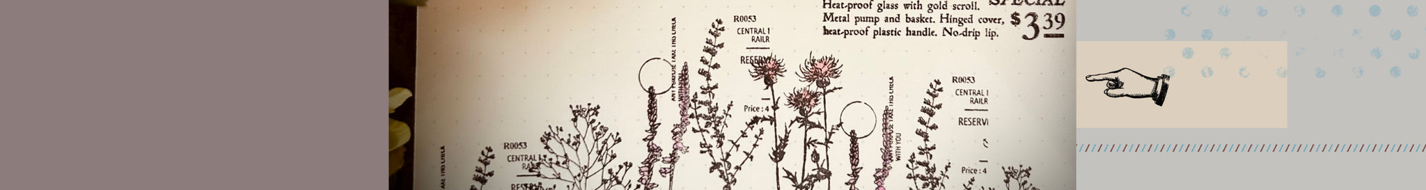 ボタニカル・イラスト